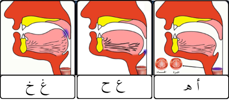 5 Macam Makhorijul Huruf Hijaiyah dan Penjelasannya - Syarihub